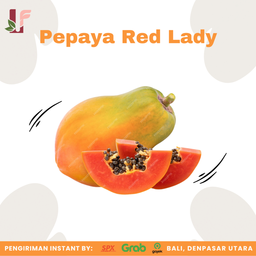 Jual Pepaya Red Lady / Red Lady Papaya 1 buah / Liran Farm | Shopee ...