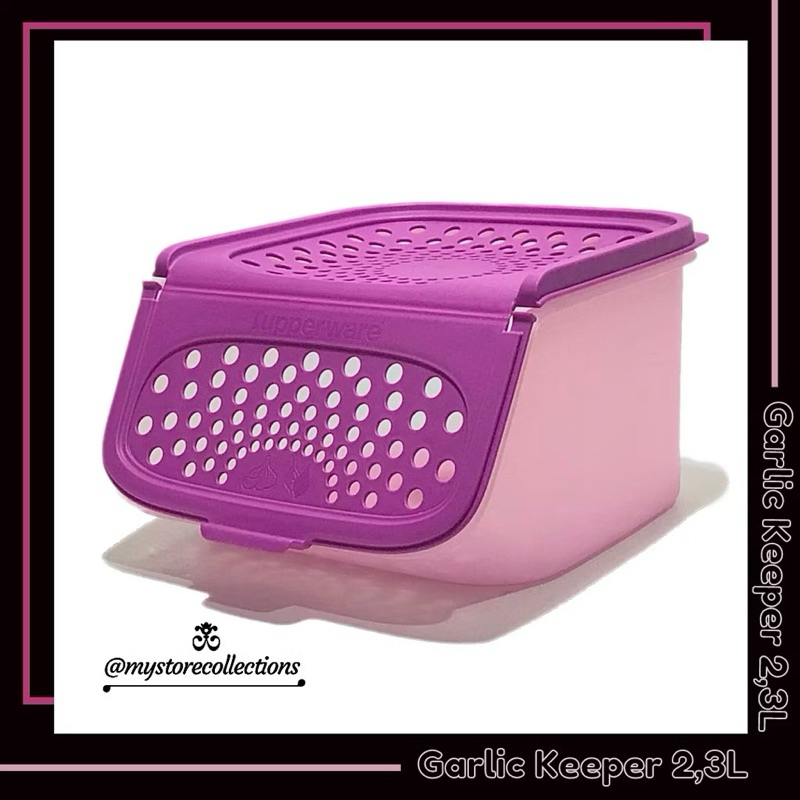 Jual ORIGINAL TUPPERWARE GARLIC KEPPER | Shopee Indonesia