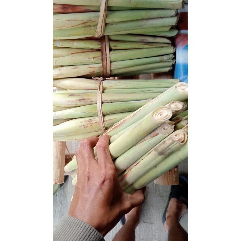 Jual Terubuk telur tebu turubuk endog 1kg | Shopee Indonesia