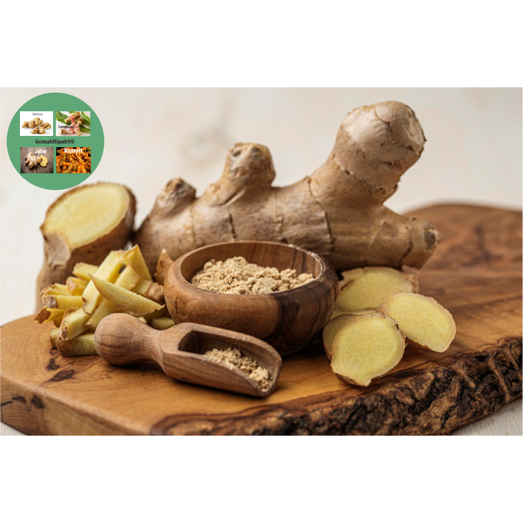 Jual Jahe Gajah Putih Fresh Rimpang Besar 1 Kg Sudah Bersih | Shopee ...