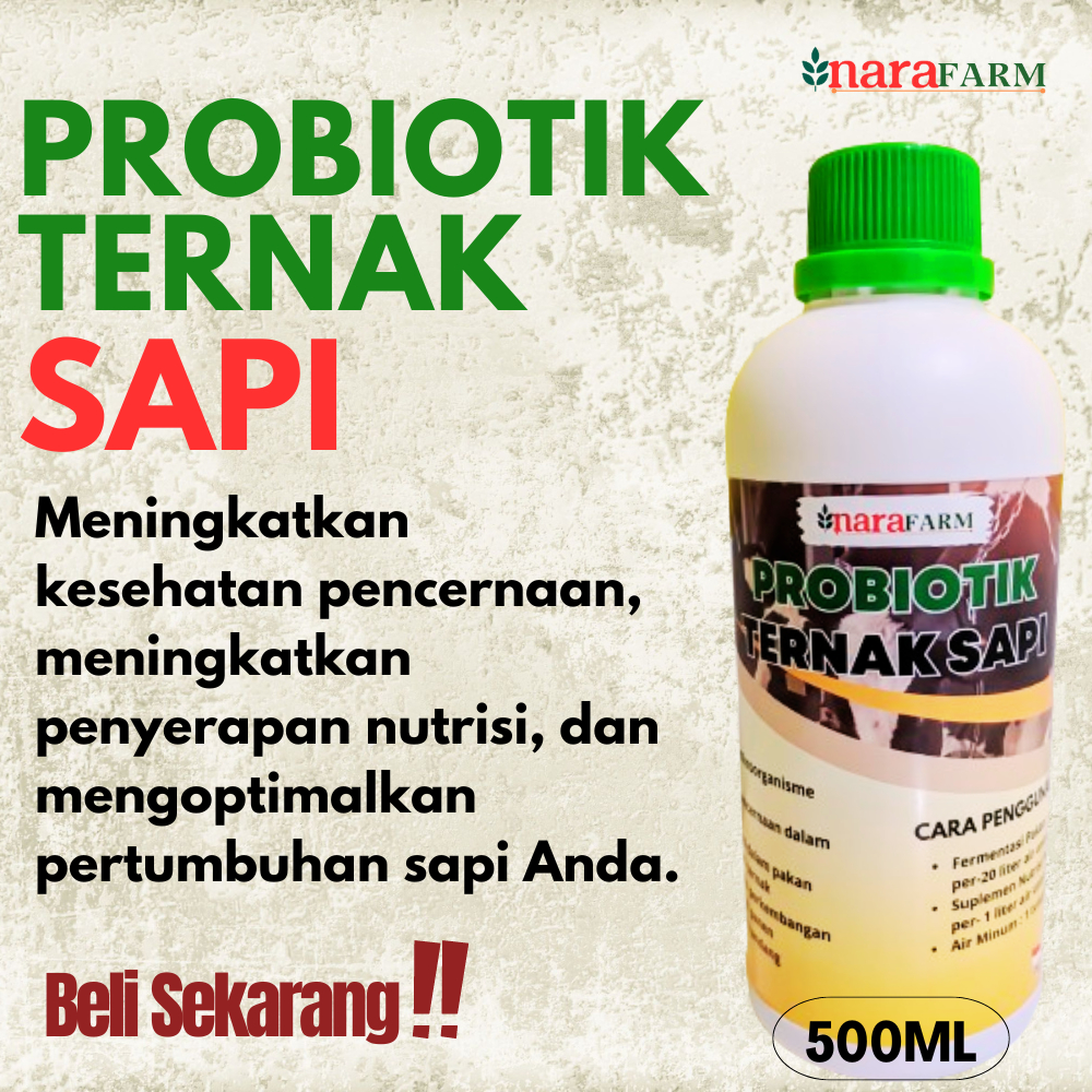Jual Probiotik pencernaan,Vitamin penggemuk sapi,Mineral untuk sapi ...