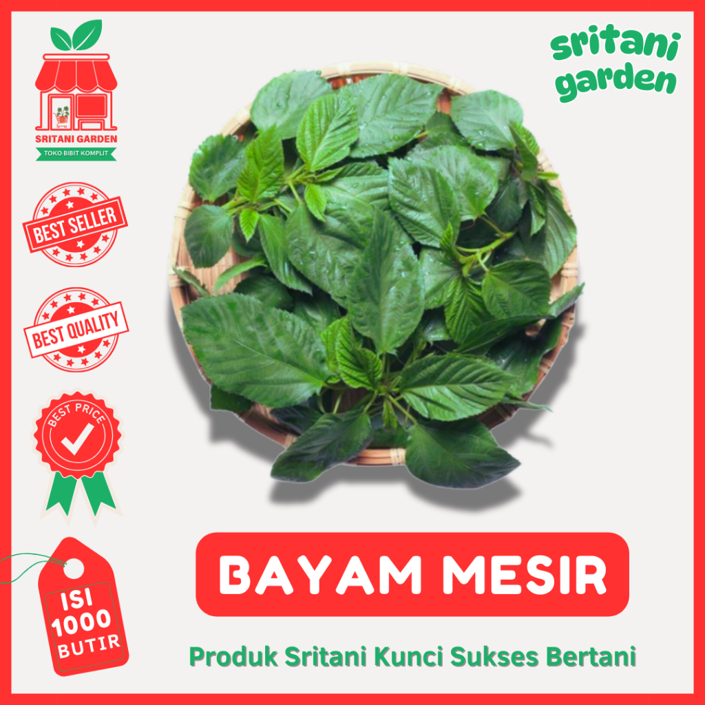 Jual Benih Bayam Molokhia 1000 Biji Sayur Asli Mesir Best Quality ...