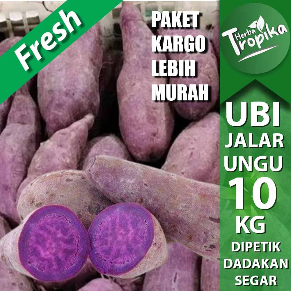 Jual Paket Kargo Umbi Ubi Jalar Ungu 10 kg fresh kualitas unggul toko ...