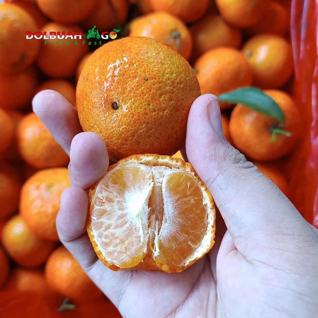 Jual Jeruk Santang Daun Manis Tanpa Biji - Dolbuah | Shopee Indonesia