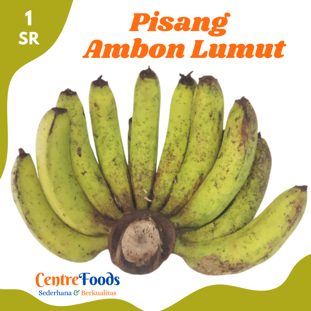 Jual PISANG AMBON Lumut - Buah Pisang Ambon Lumut Hijau Fresh | 1 Sisir ...
