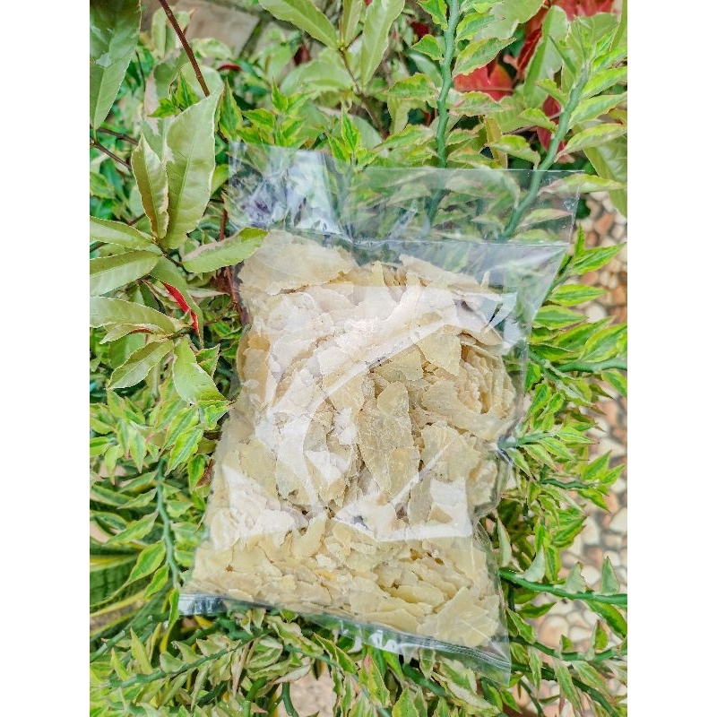 Jual EMPING MELINJO ASLI LIMPUNG REMUKAN SIAP GORENG 500GRM | Shopee ...