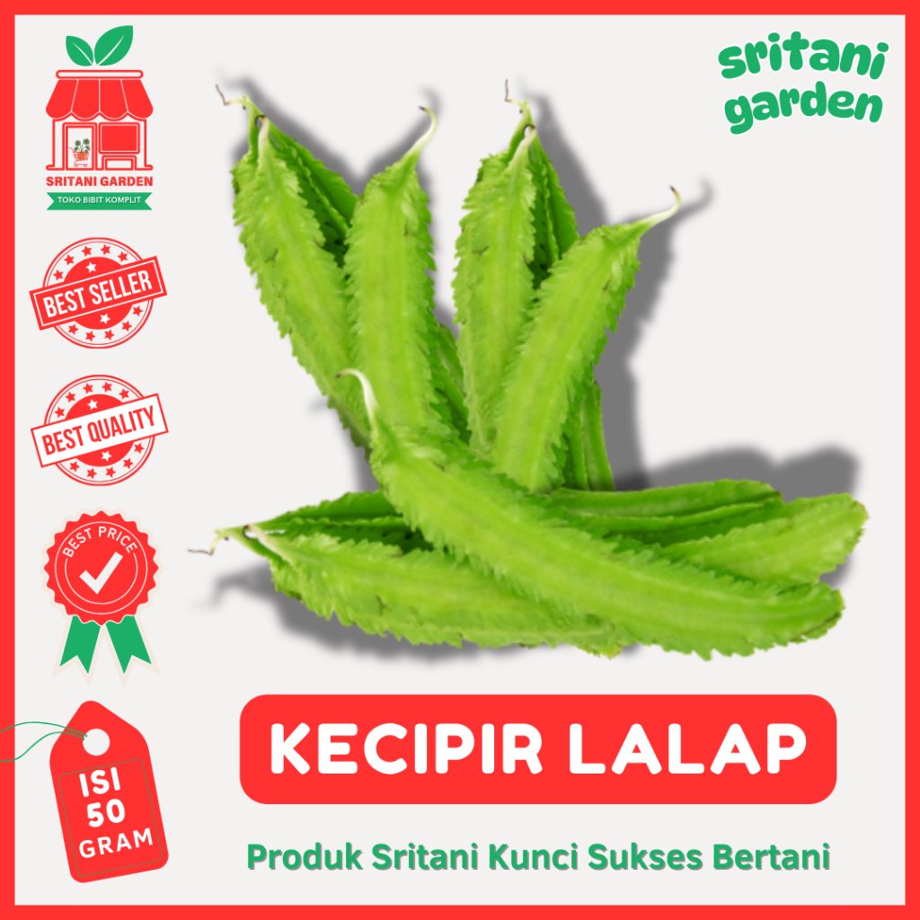 Jual Benih Kecipir Lalap 50 Gram Biji Kacang Sayur Kualitas Unggul ...