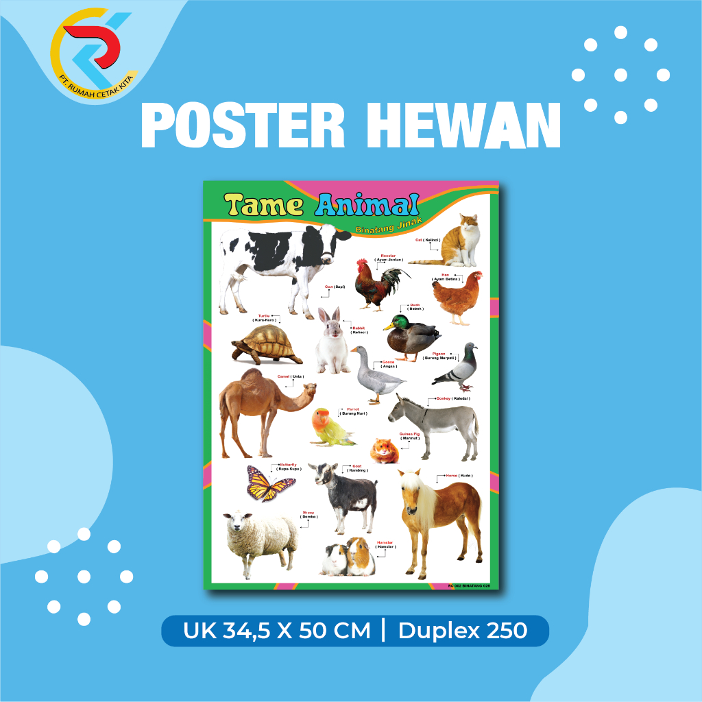 Jual Poster Edukasi Anak Aneka Hewan 29 | Hiasan Dinding Ruangan Kelas ...