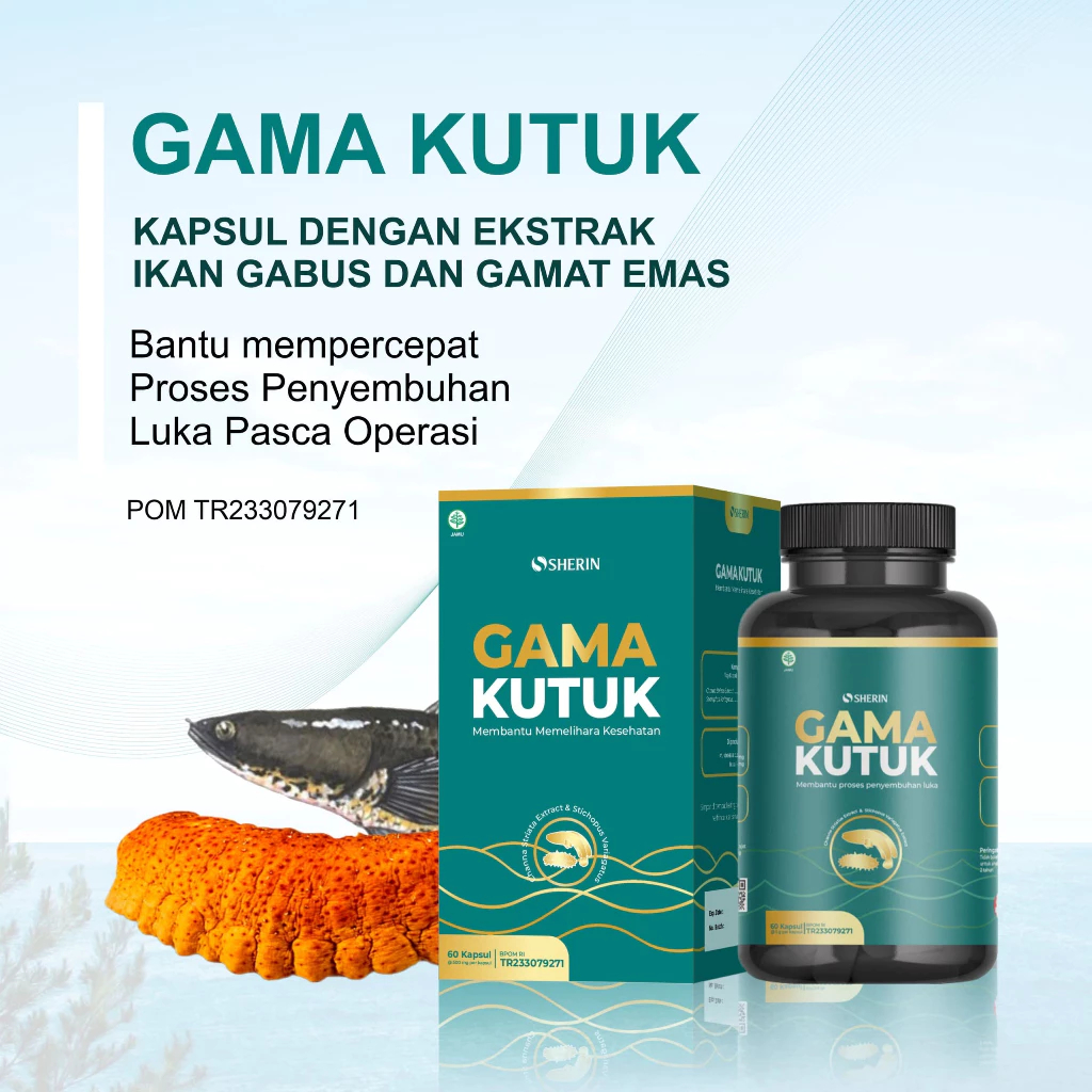 Jual Kapsul Gama Kutuk Ekstrak Ikan Gabus Dan Gamat Emas Obat Pengapuran Tulang Lutut dan Sakit ...