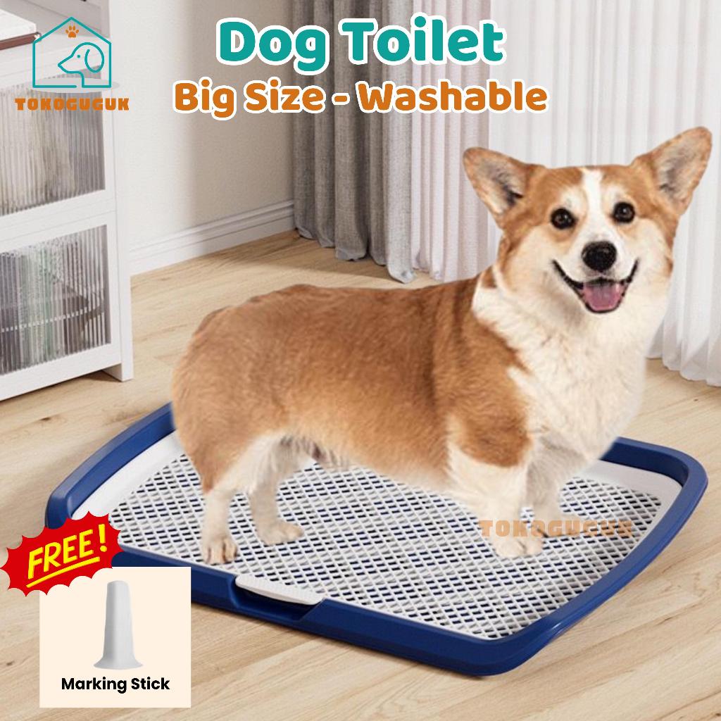 Jual Dog Toilet Anjing Besar / Potty Training Pad Toilet Tray Indoor ...