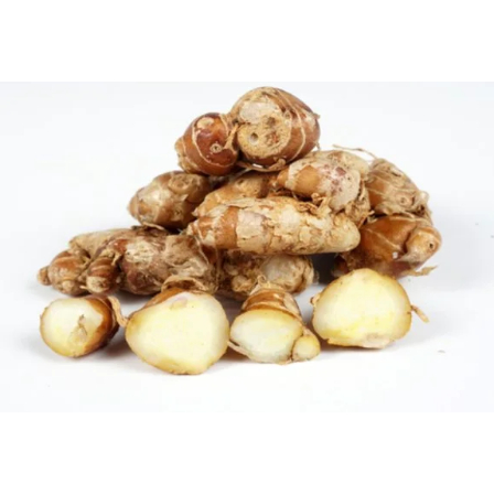 Jual Kencur Bumbu Dapur Rempah Fresh Segar | Shopee Indonesia