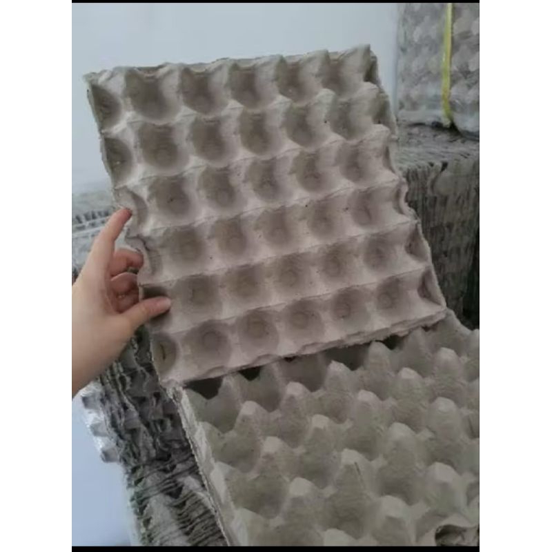 Jual [ PAKET 10 LEMBAR ] Wadah Telur / egg try / tempat telor karton ...