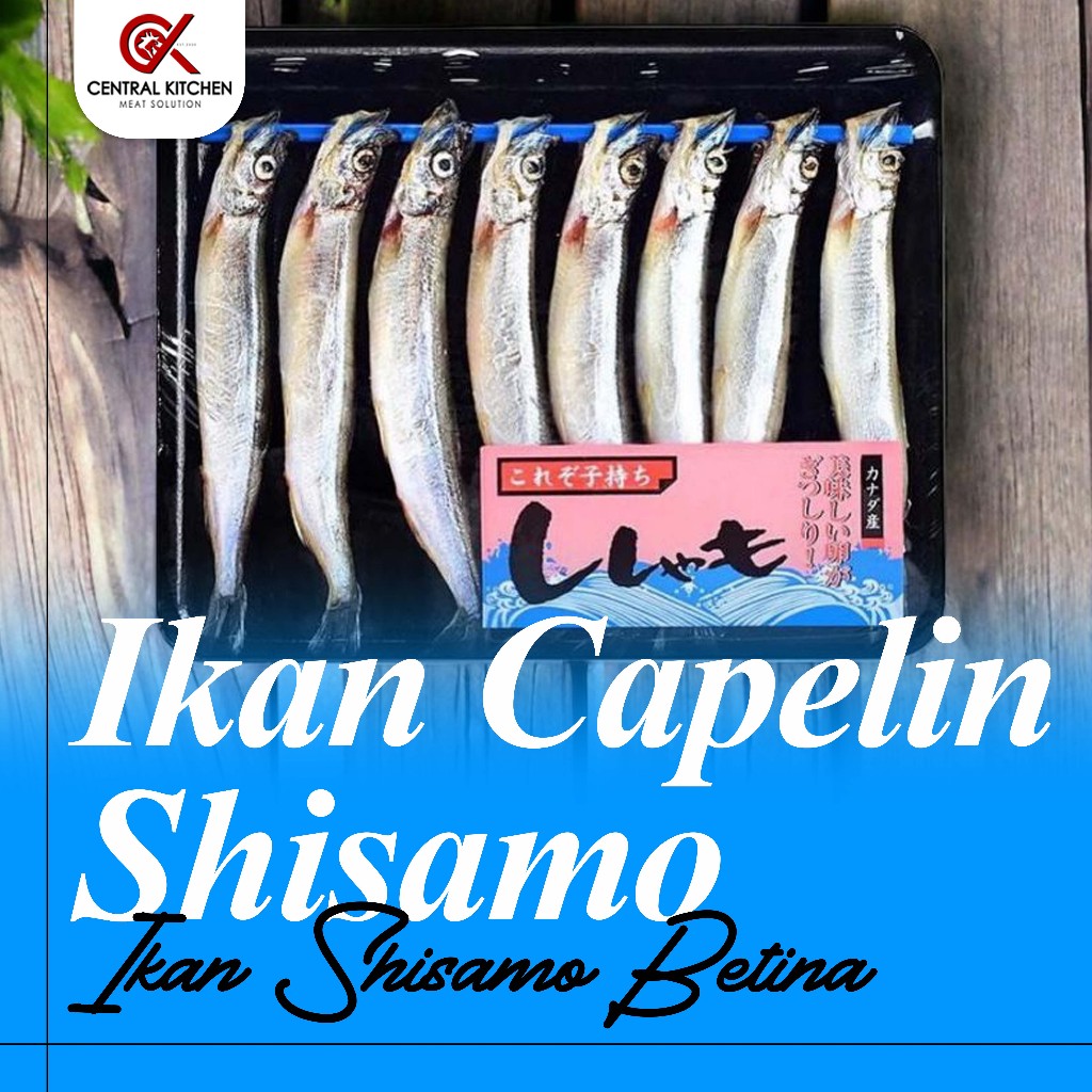 Jual Ikan Shisamo / Capelin / Ikan Cipung Betina Telur Jepang Premium ...