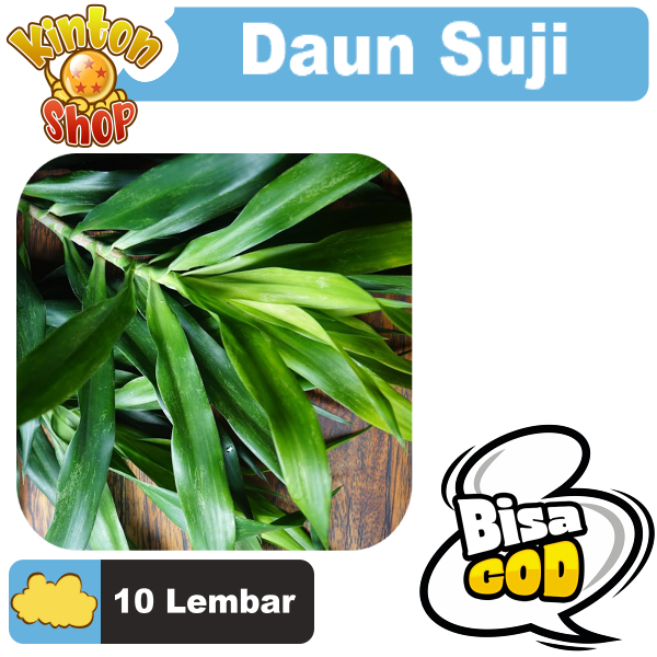 Jual Daun Suji Per 10 Lembar | Shopee Indonesia