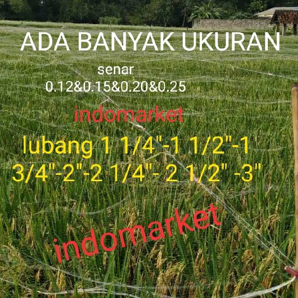 Jual Best Stock JARING BURUNG SAWAH BERBAGAI MACAM UKURAN | Shopee ...