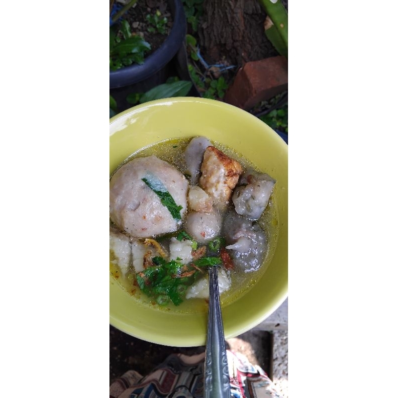 Jual baso daging mix baso aci FROZEN | Shopee Indonesia