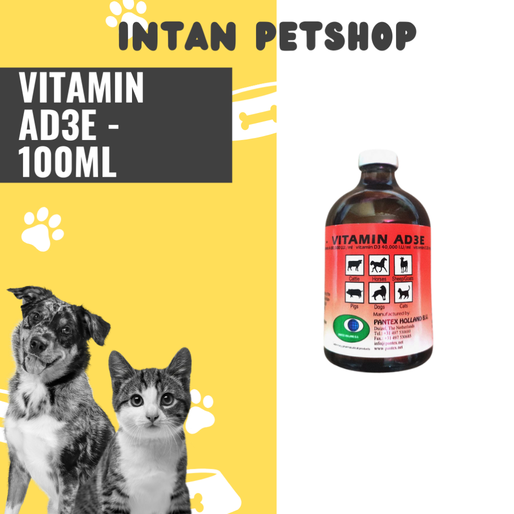 Jual Vitamin AD3E Holland - Vitamin AD3E Injeksi - Pantex Holland AD3E ...