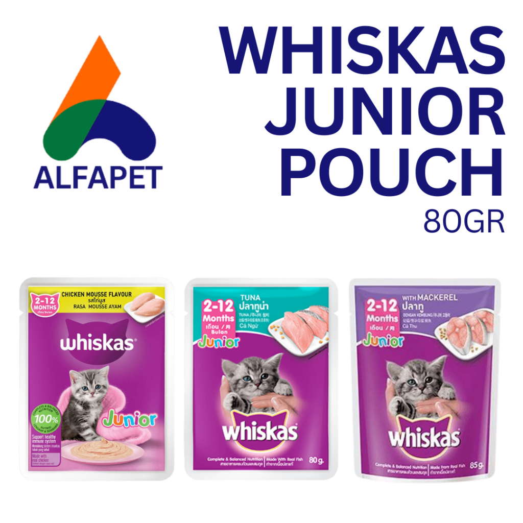 Jual Whiskas Junior Pouch 80gr makanan basah kucing | Shopee Indonesia