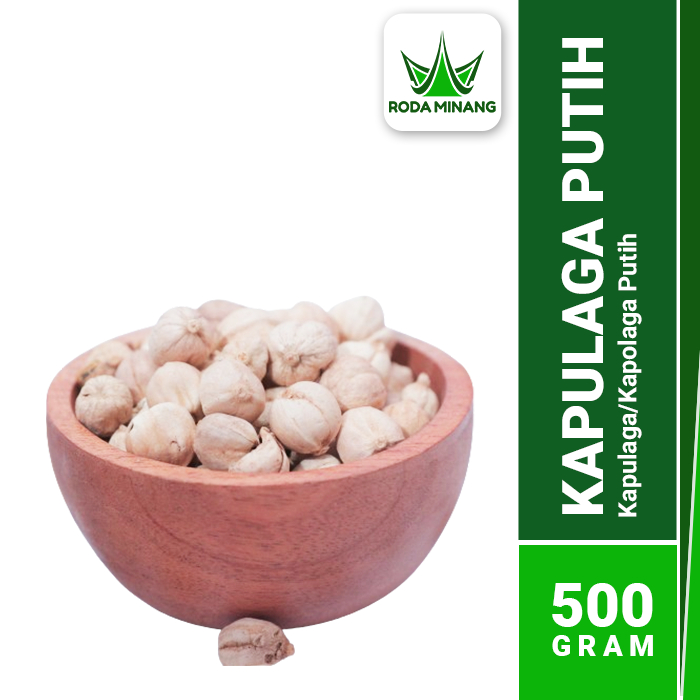 Jual Kapulaga Putih White Cardamon Kapolaga Lokal Kapol Bal Dou Kou 500 ...