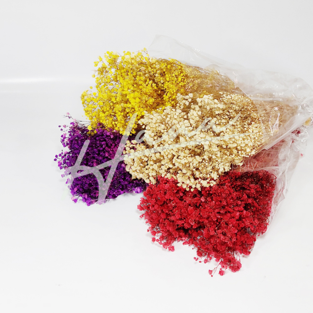Jual BabyBreath Preserved / Baby Breath Awetan / Dried Flower Awetan ...