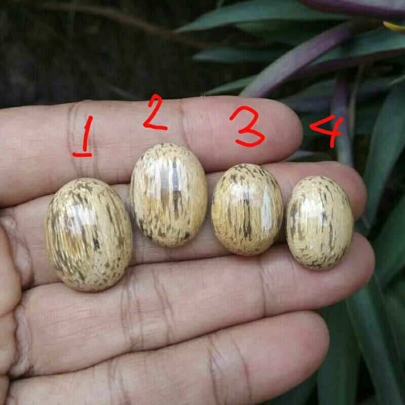 Jual Batu akik fosil kayu Cibeet Natural Fossilized Wood | Shopee Indonesia