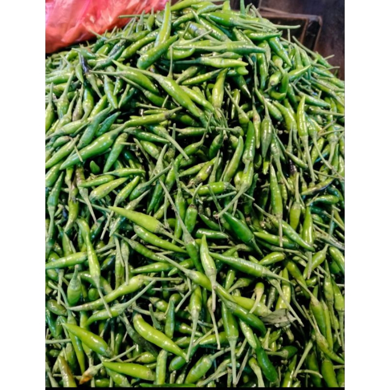 Jual cabai rawit ijo caplak super pak Sr 1 kg PROMO | Shopee Indonesia
