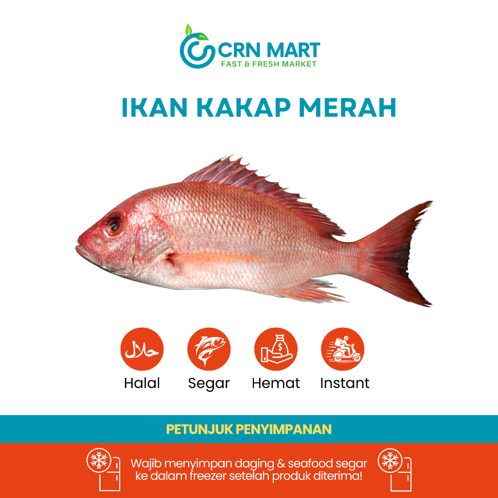 Jual CRN MART - Ikan Kakap Merah Segar/Seafood Segar/Ikan Kakap Merah ...