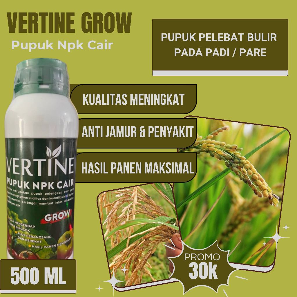 Jual PUPUK PELEBAT BULIR PADI PALING BAGUS - VERTINE GROW isi 500 ml - Pupuk Npk Perbanyak Buah ...