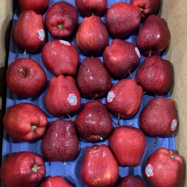 Jual Apel Merah 1 Kg | Shopee Indonesia