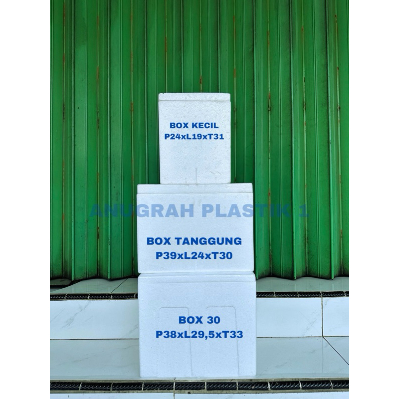Jual Box Sterofoam Kotak Foam Cooler Box / Box Makanan Frozen / Box Es ...