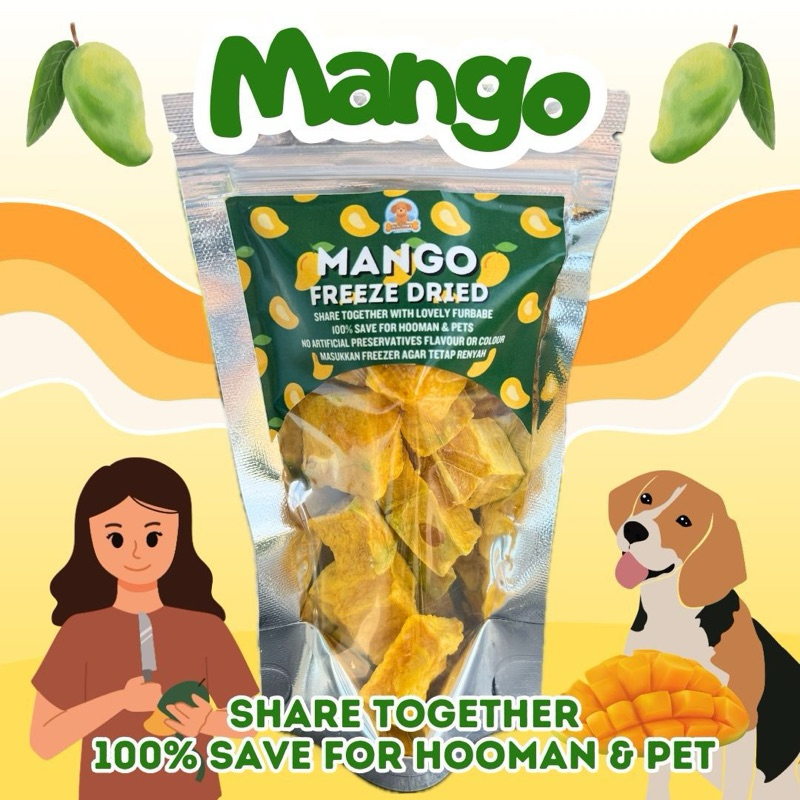 Jual manggo freeze dried / snack mangga kering | Shopee Indonesia