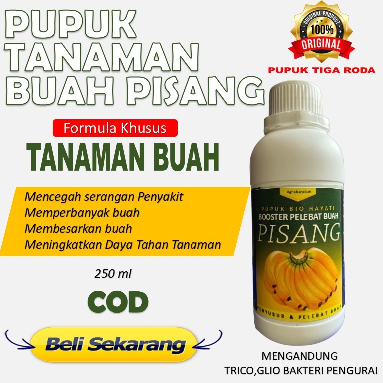 Jual Pupuk Penyubur Pohon Pisang / Pupuk Booster Pelebat Buah Pisang / Pupuk Pembesar Buah ...