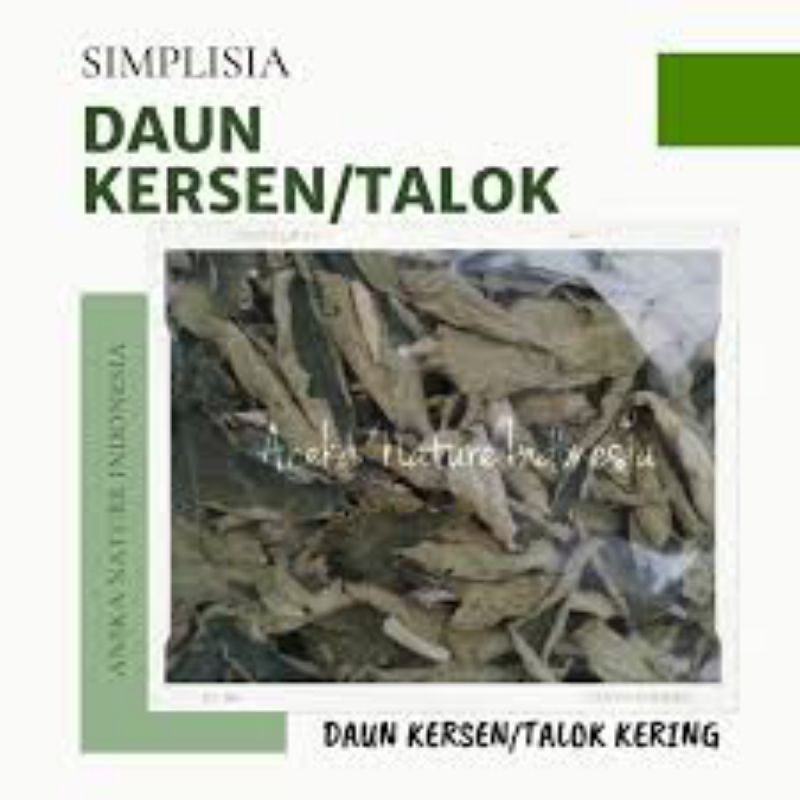 Jual DAUN KERSEN TALOK 500 GRAM | Shopee Indonesia
