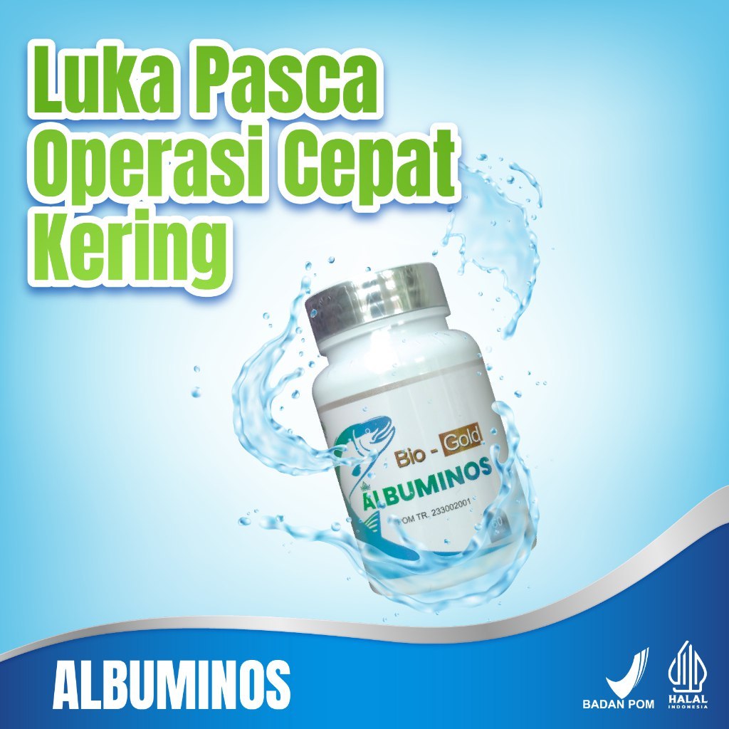 Jual Bio Gold Albuminos Kapsul Sari Kutuk Ikan Gabus 60 Kapsul | Shopee ...