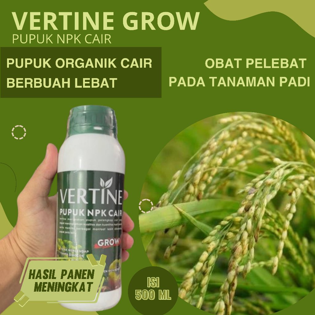 Jual Pupuk Npk Pelebat Tanaman Padi - Vertine Pupuk Penyubur Pada Tanaman Padi - Obat Pelebat ...