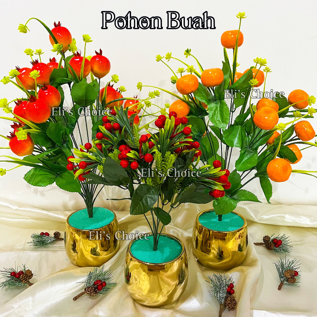 Jual Bunga Buah Hias + Pot Bunga / Pohon Buah Jeruk Apel Delima Cherry ...