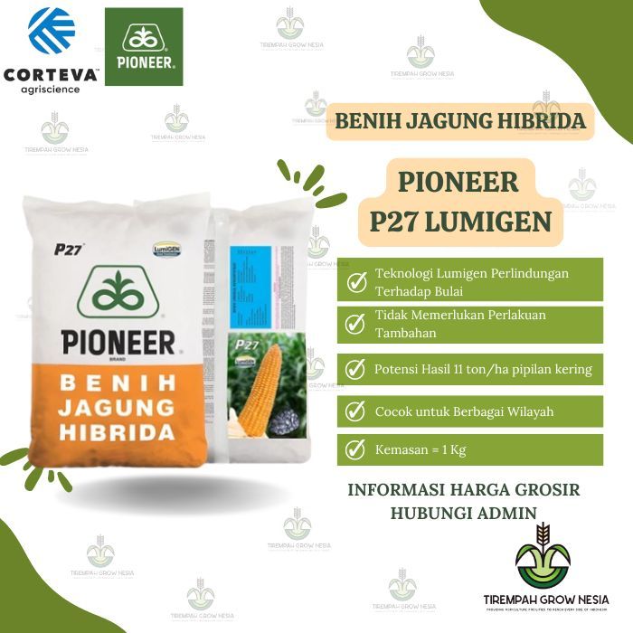 Jual BIBIT JAGUNG PIONEER P27 LUMIGEN BENIH JAGUNG PIONER P27 LUMIGEN P ...