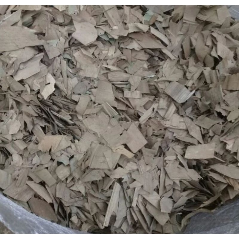 Jual Daun Bambu kering untuk media tanam 1kg/9000 | Shopee Indonesia