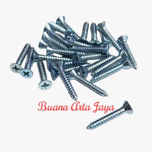 Jual Skrup Tapping / Tapping Screw Moon Lion ukuran 8x1,25 inch - per ...