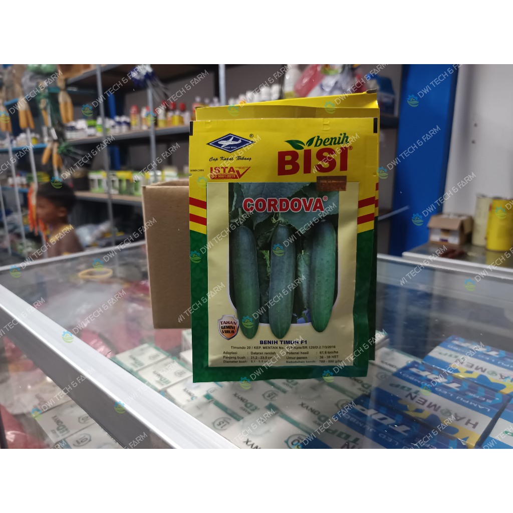 Jual Benih Timun Cordova F1 Bisi Cap Kapal Terbang | Shopee Indonesia