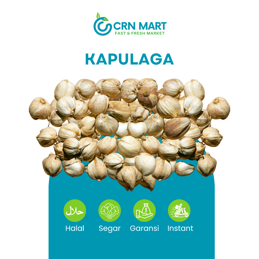Jual CRN MART - Kapulaga Putih Premium/Rempah-rempah Kering/Kapulaga ...