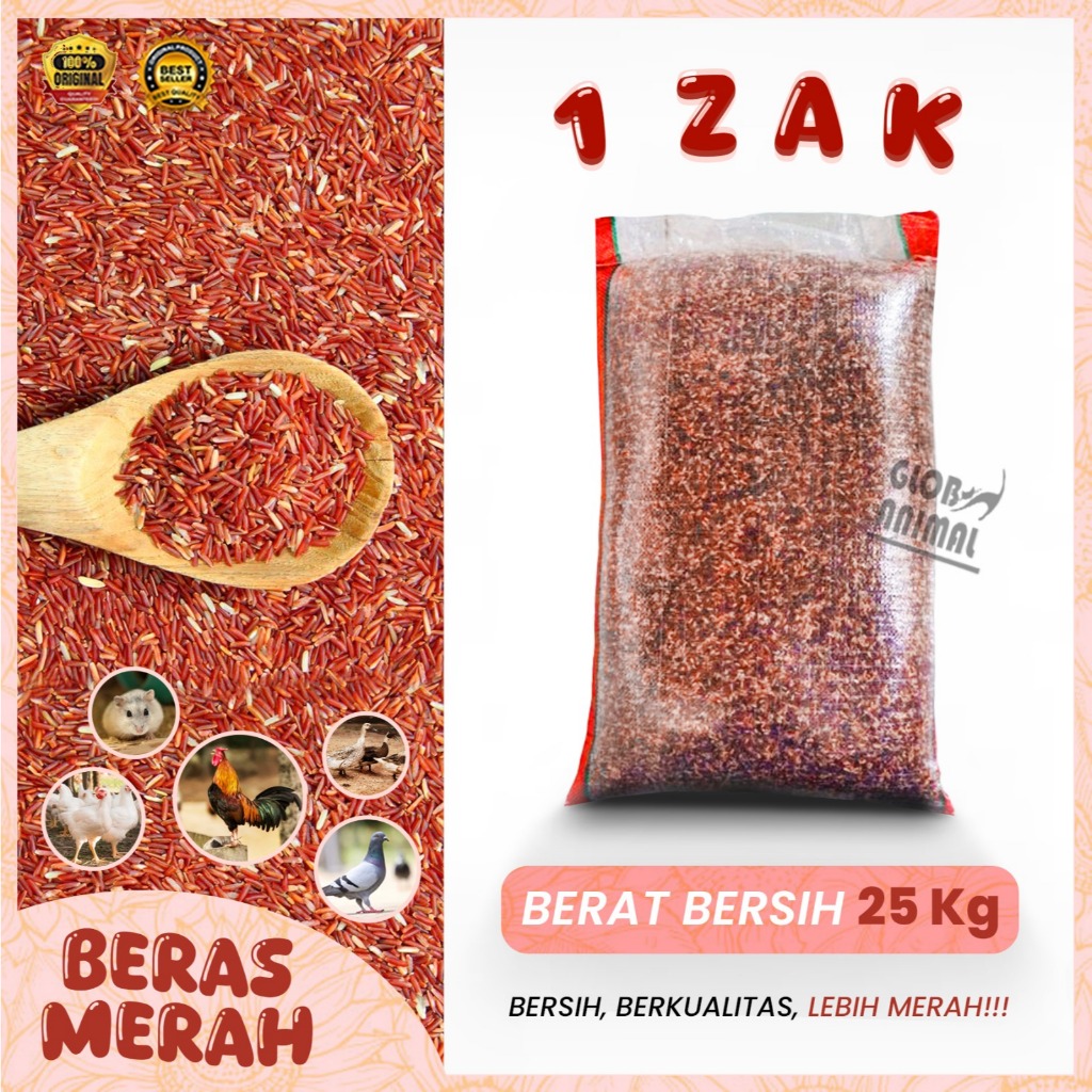 Jual BERAS MERAH ZAK 25KG pakan burung pakan ayam ternak unggas karung ...