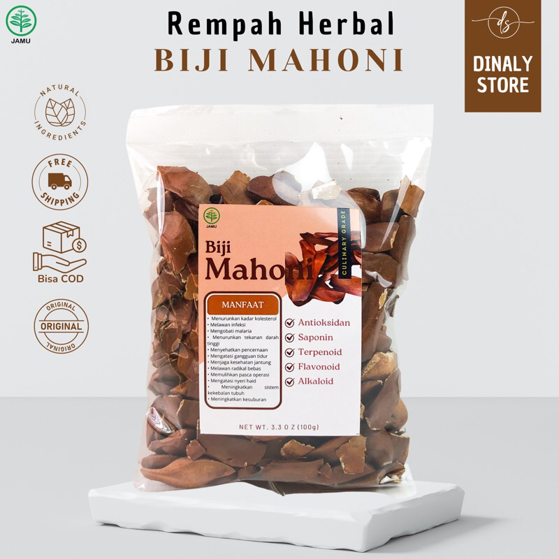 Jual BIJI MAHONI 100 GRAM | MAHOGANY SEEDS | REMPAH PREMIUM MURAH ...