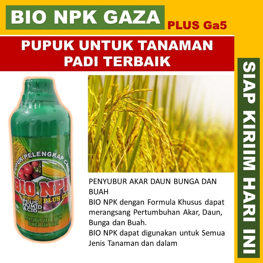 Jual Pupuk Pelengkap Cair Untuk Padi Terbaik Segala Jenis Tanaman - Pupuk NPK bio npk gaza Untuk ...