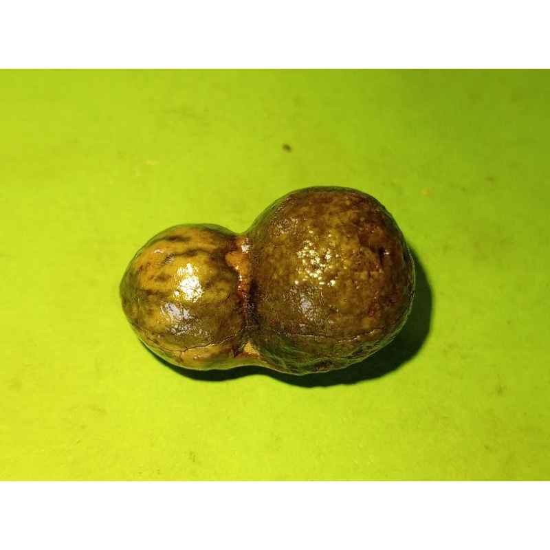 Jual batu pusaka kewibawaan (belik Klampok) | Shopee Indonesia