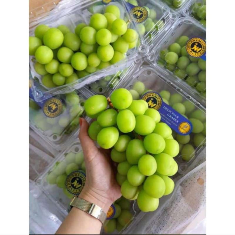Jual Buah anggur shine muscat | Shopee Indonesia