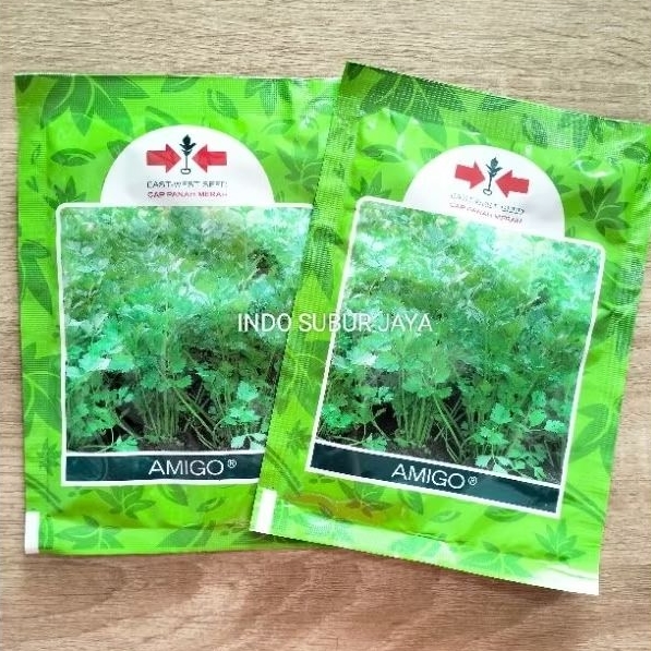 Jual Benih Daun Seledri Daun Sop Amigo Cap Panah Merah 20 Gram Tanaman ...