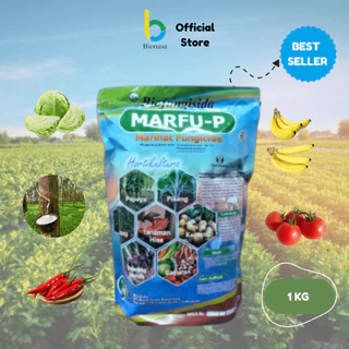 Jual hayati Harga Terbaik & Termurah Desember 2025 | Shopee Indonesia