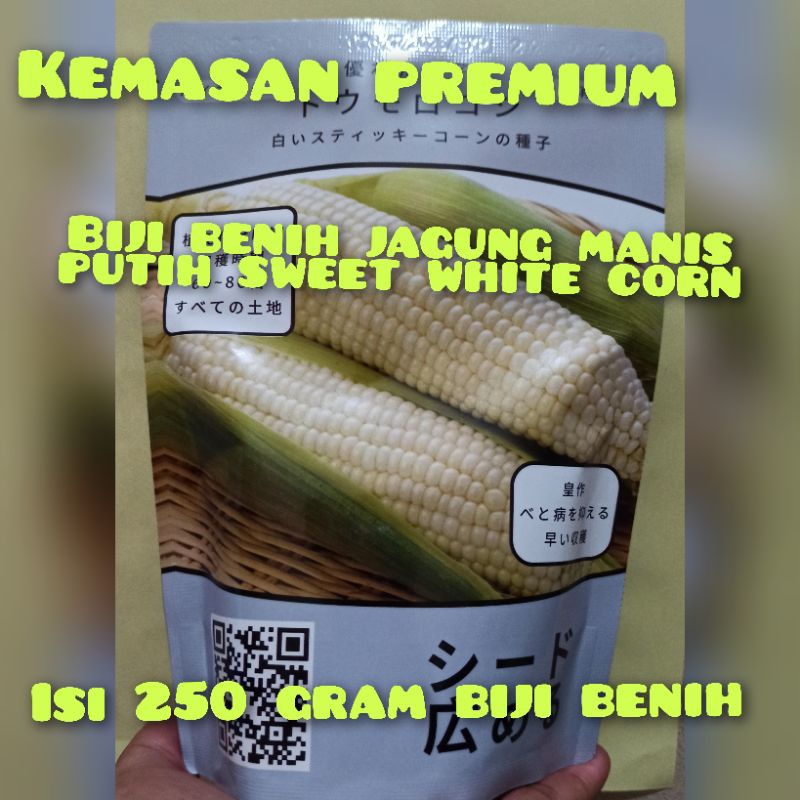 Jual kemasan premium 250 gram biji benih jagung manis putih jepang white sweet corn | Shopee ...