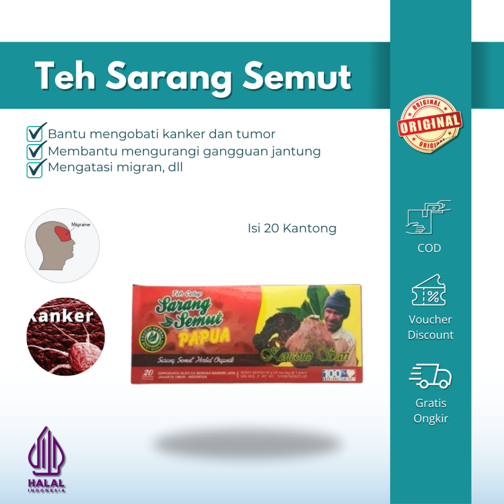 Jual Teh Celup Sarang semut Papua / Sarmut papua Asli Original ...